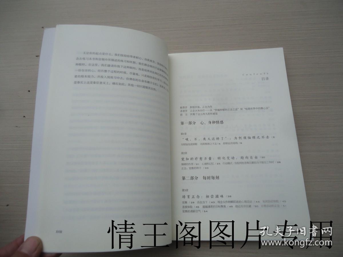穿越抑郁的正念之道【英】马克·威廉姆斯(mark Williams)约翰·蒂斯代尔 (john Teasda)【加】辛德尔·西格尔 (zindel Segal)【美】乔·卡巴金博士 (jon