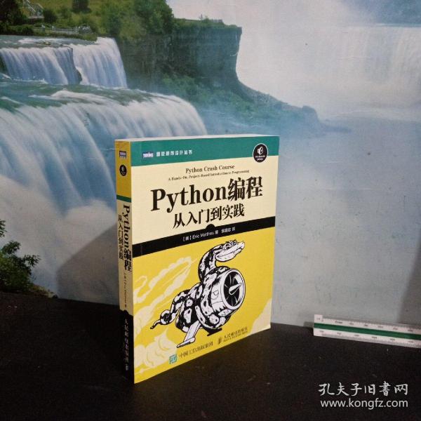 Python编程:从入门到实践 全新) 美 埃里克·马瑟斯(eric Matthes) 著;袁国忠 译孔夫子旧书网
