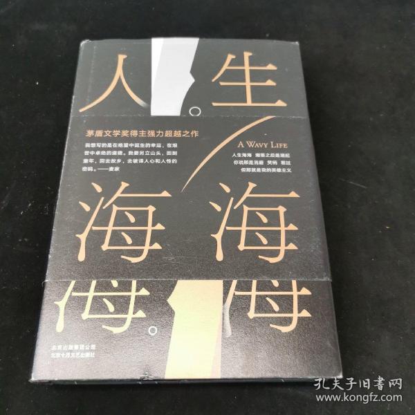 麦家：人生海海（茅盾文学奖得主麦家2019年强力之作）麦家 著孔夫子旧书网
