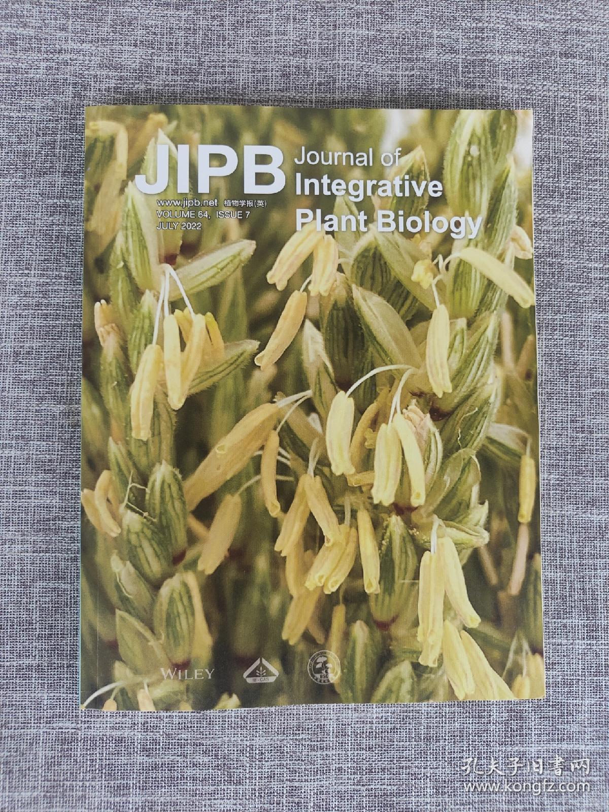 JIPB Journal of Integrative Plant Biology（2022年7月）植物学报(英)_编辑部_孔夫子旧书网