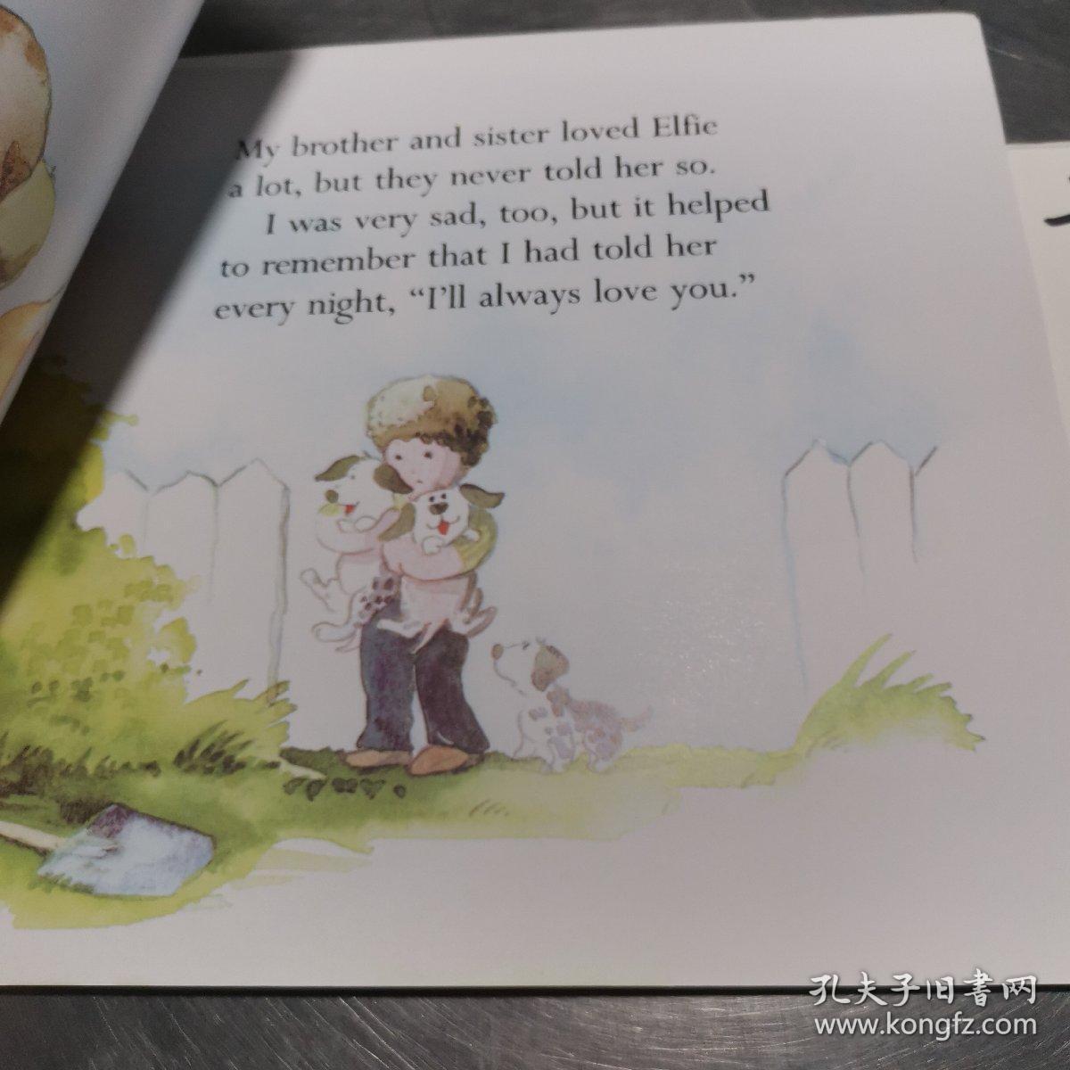 I'll Always Love You_Hans Wilhelm（汉斯·威廉） 著_孔夫子旧书网