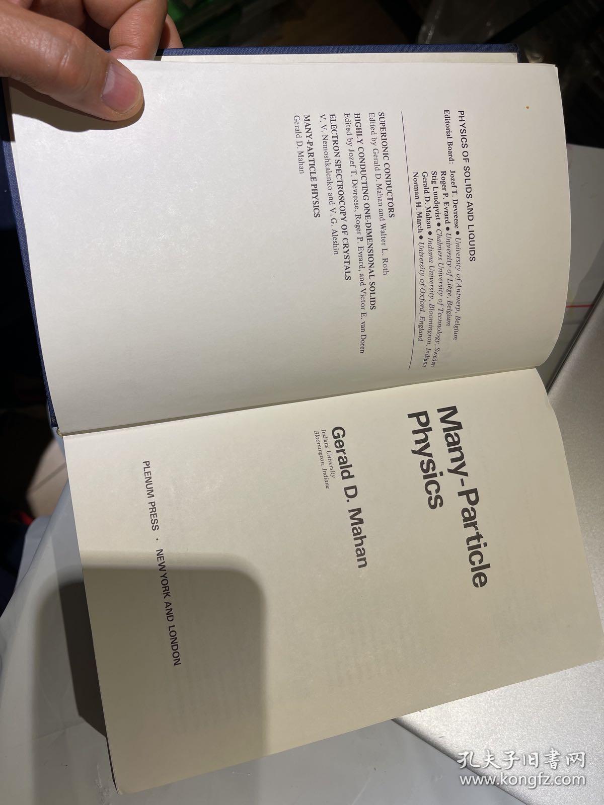 现货 英文原版 Many Particles Physics 多粒子物理学 多粒子系统 Many-Particle Physics ...