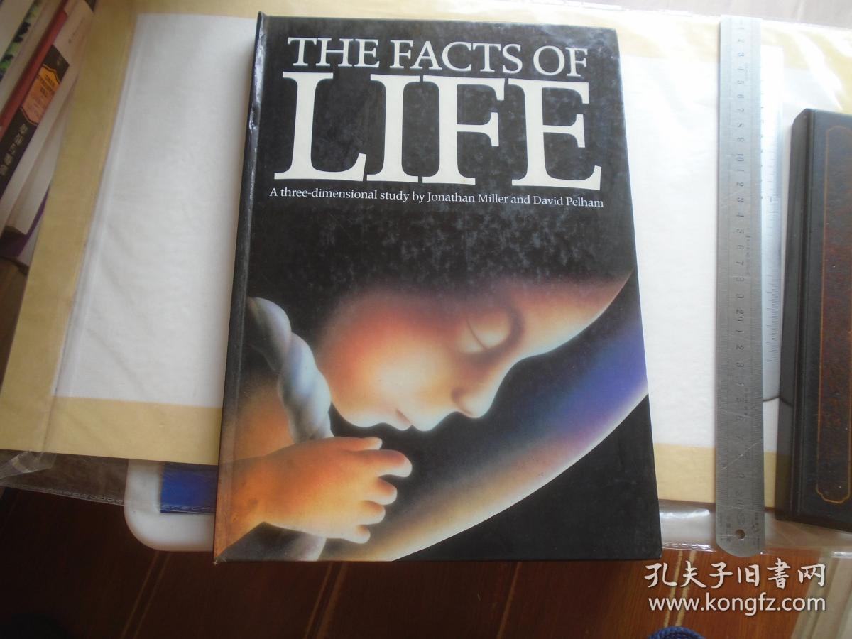 【图】立体书《the facts of life 》 品看图自定,拍品信息,网上拍卖,拍卖图片,拍卖网,拍卖网站