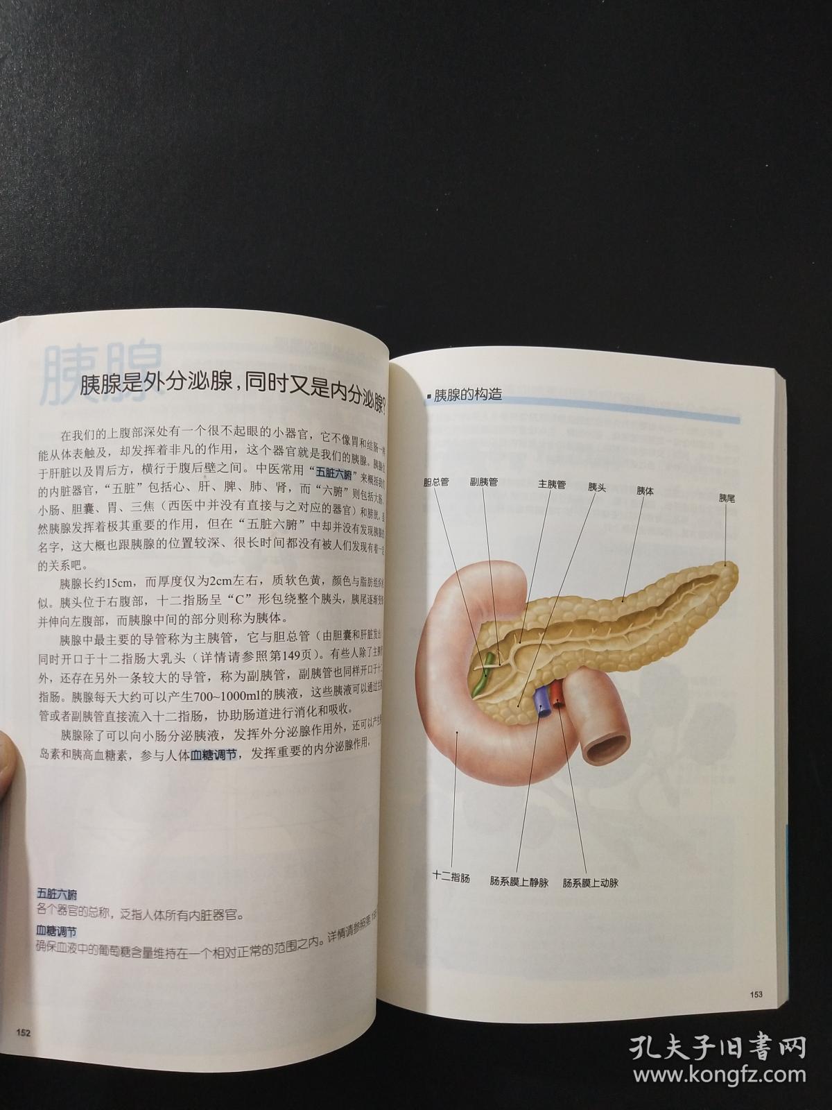 【图】漫画人体 一看就懂的人体结构书 拍品信息 网上拍卖 拍卖图片 拍卖网 拍卖网站