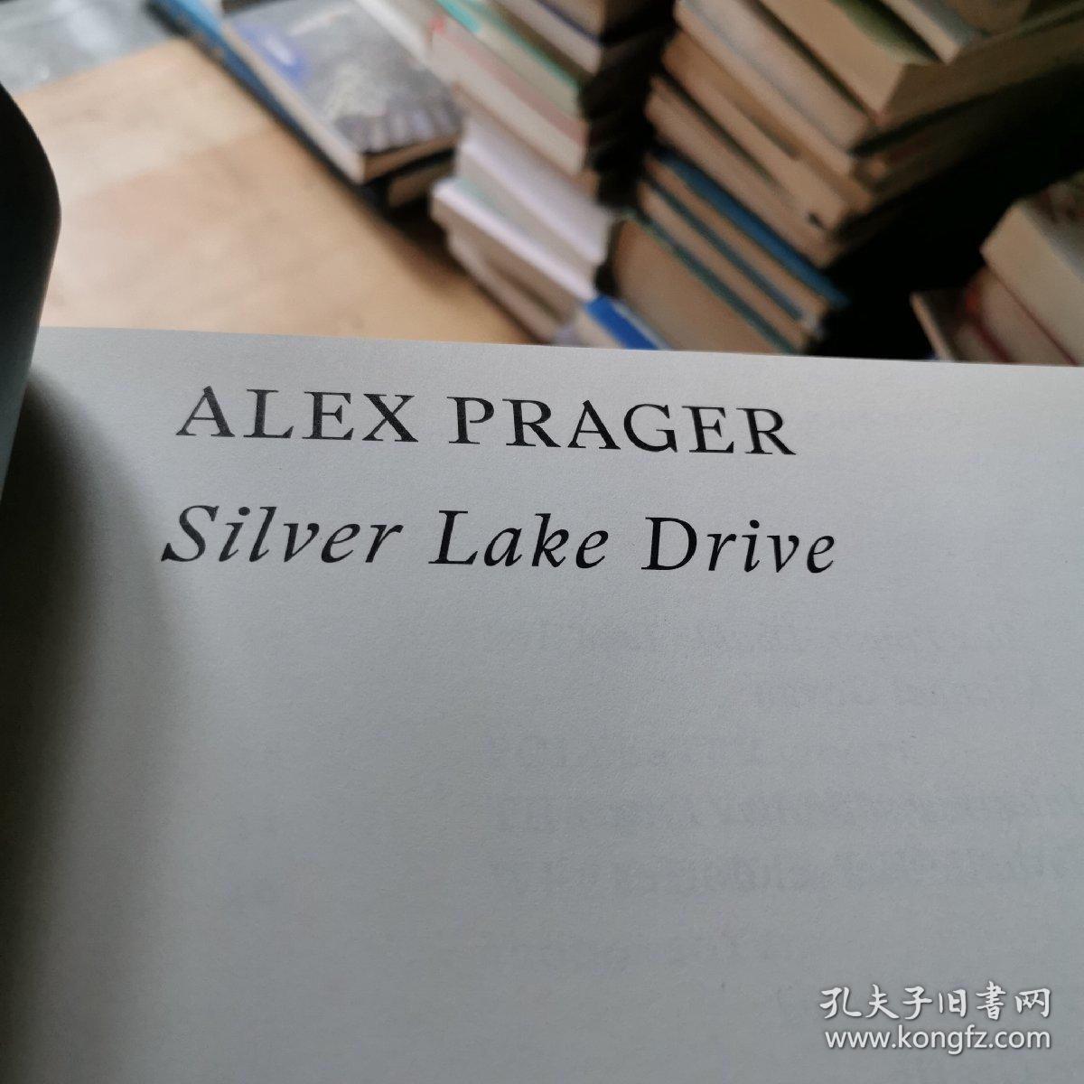 【图】Alex Prager: Silver Lake Drive 亚历克斯·普拉格：车行银湖边,拍品信息,网上拍卖,拍卖图片,拍卖网,拍卖网站