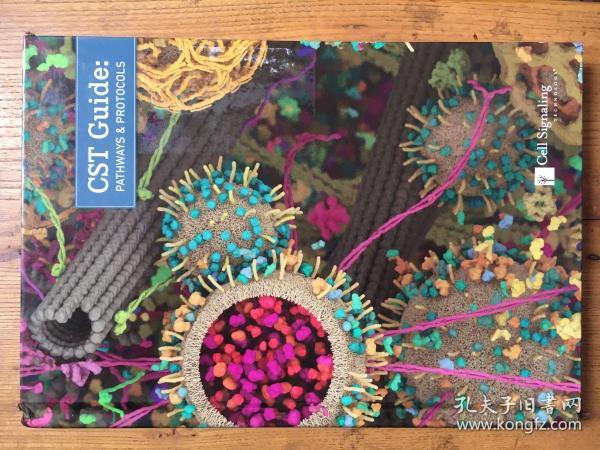 CST Guide: Pathways & Protocols （抗体相关知识和操作步骤的参考工具书）【英文 精装】_CST_孔夫子旧书网