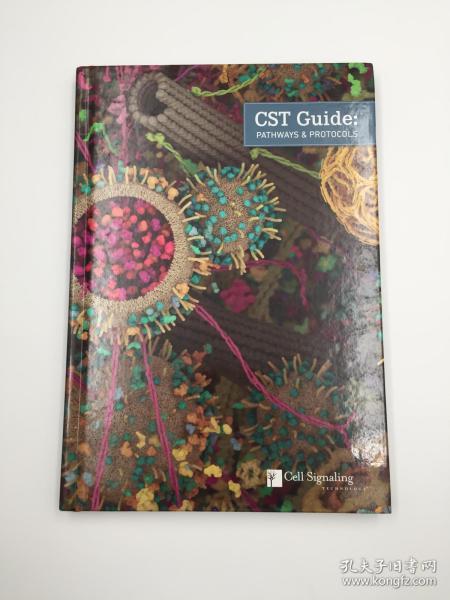 cst guide: pathways & protocols_Cell Signaling Technology_孔夫子旧书网