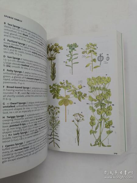 The Wild Flower Key How to identify wild plants, trees and shrubs in ...